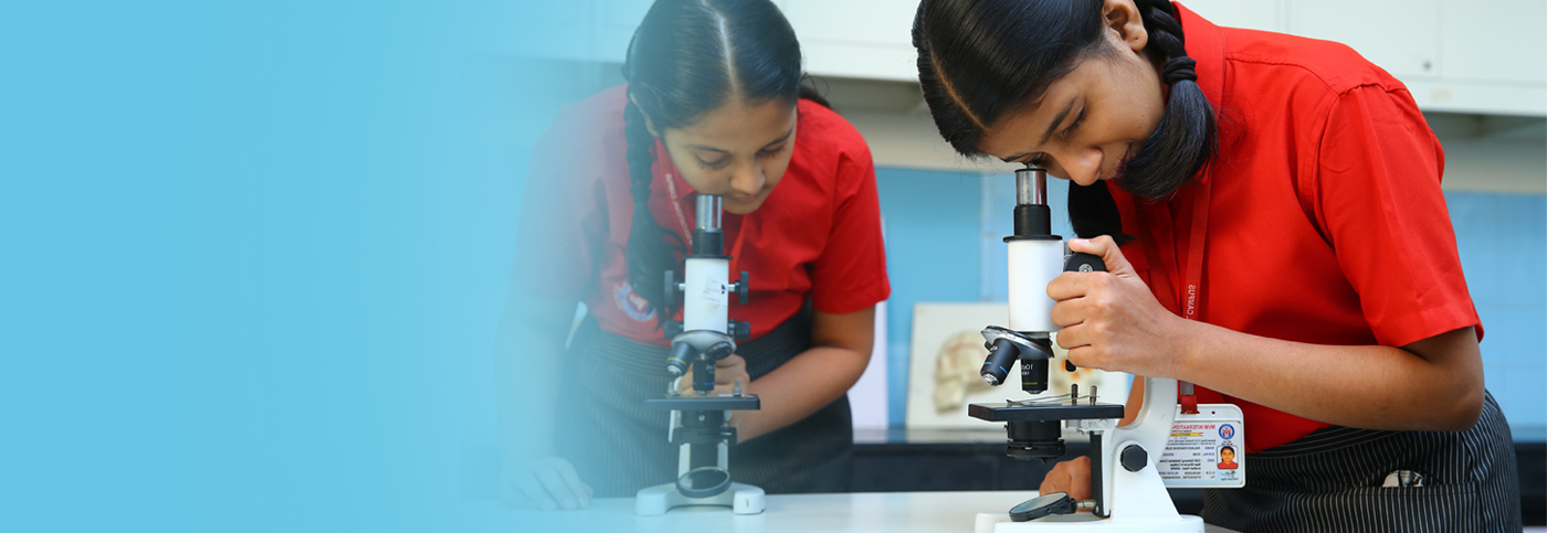 MVM – International School